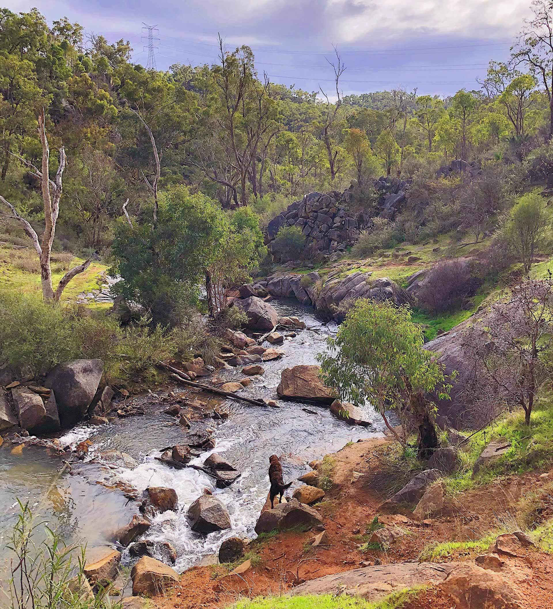 Kokoda Track | Reflecting on 1 month of training » Missbethcan